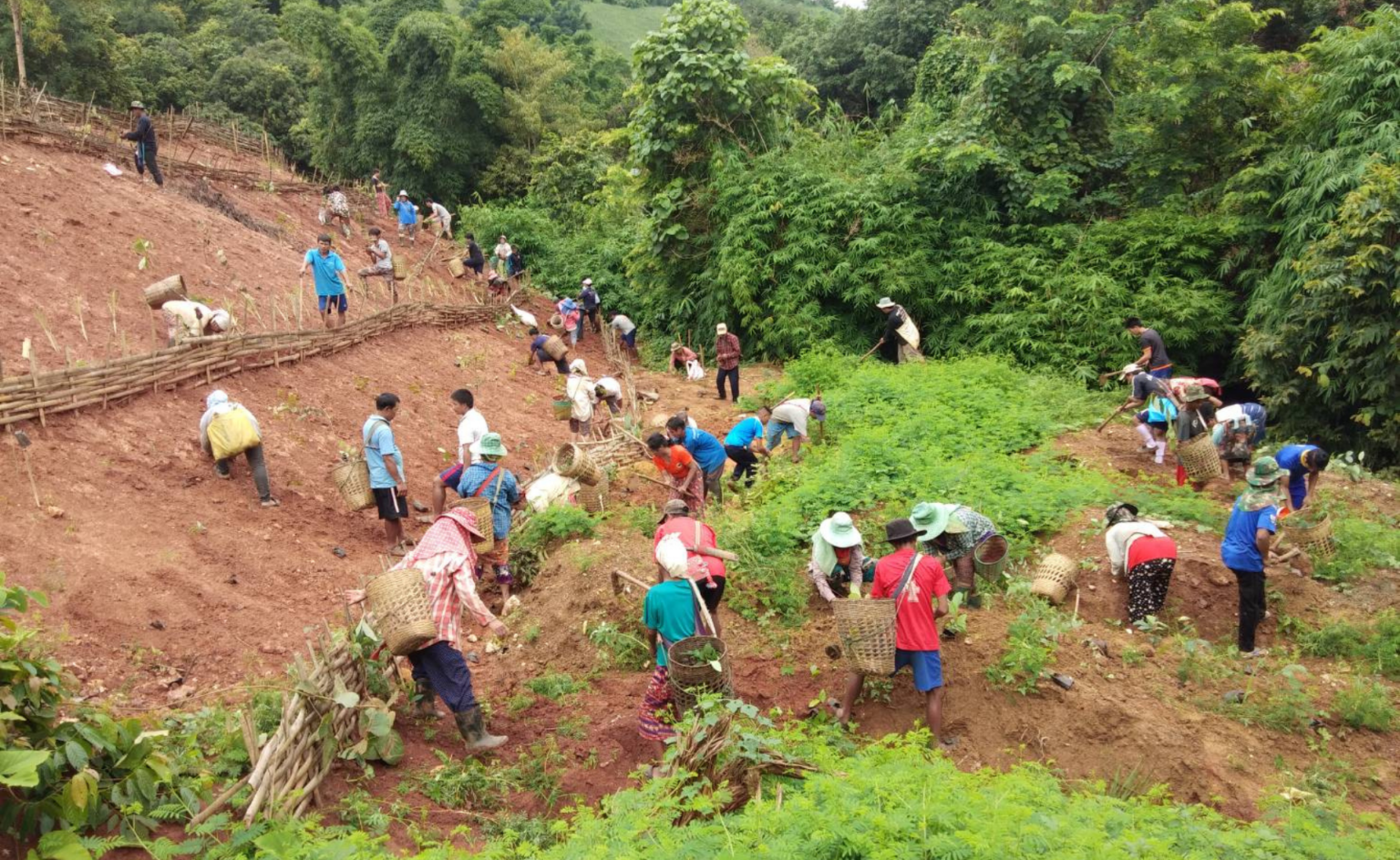 Our Tree Growing Program – Planeterra