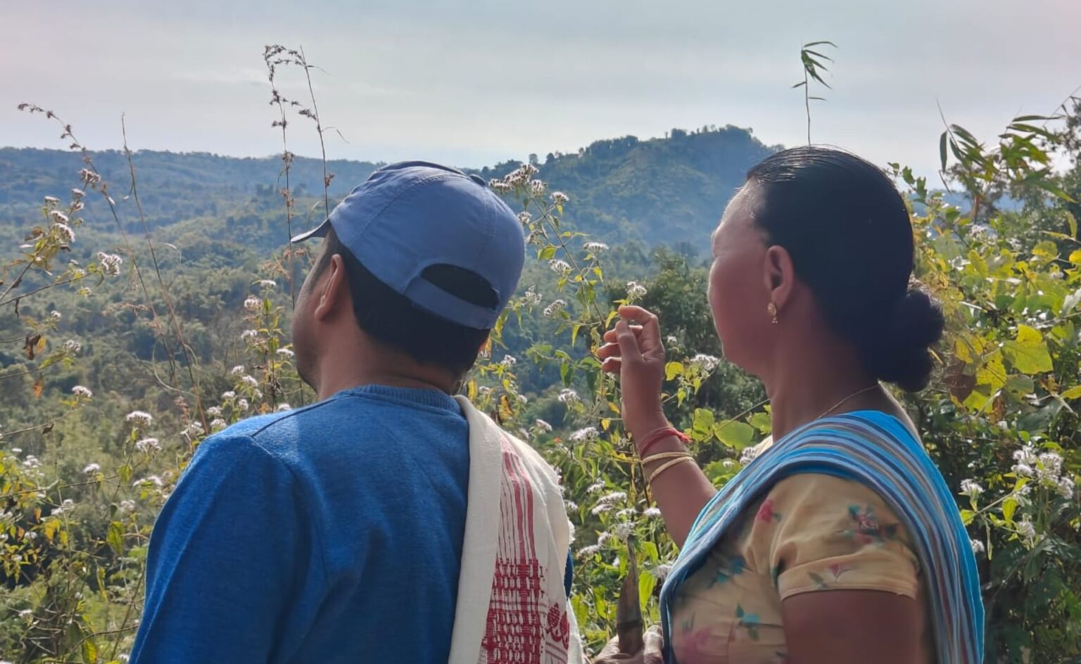 Our Tree Growing Program – Planeterra